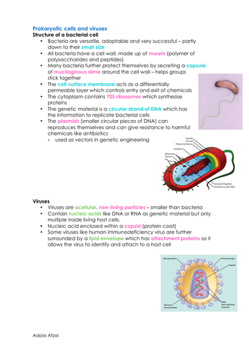 AQA A Level PROKARYOTIC CELLS AND VIRUSES Biology Notes for NEW A LEVEL ...