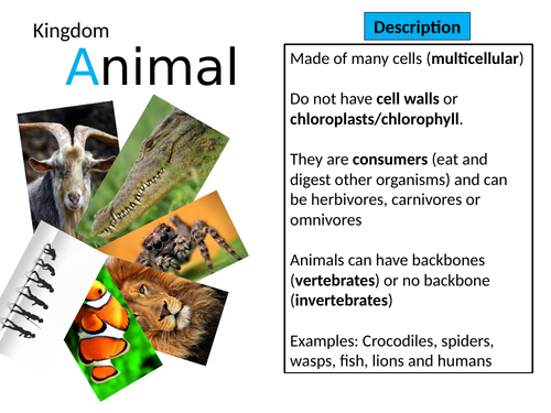 GCSE Biology: Classification (Lesson 2) | Teaching Resources GCSE Biology: Classification (Lesson 2) | Teaching Resources