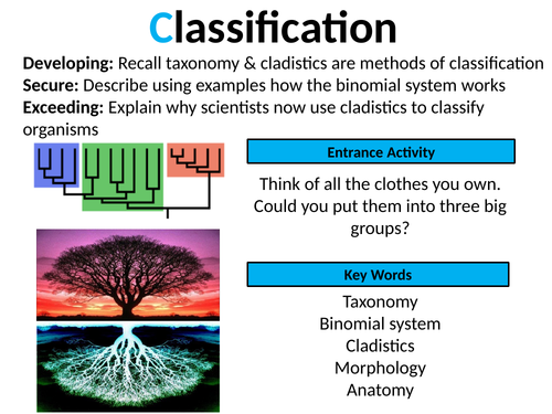 GCSE Biology: Classification (Lesson 2) | Teaching Resources GCSE Biology: Classification (Lesson 2) | Teaching Resources