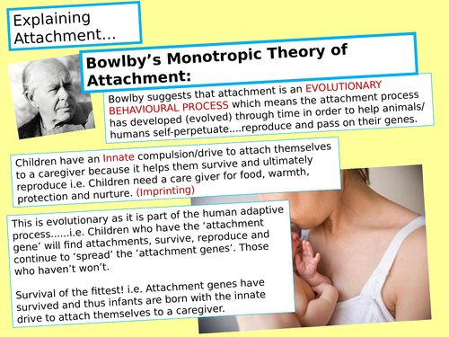 Poster Attachment Bowlby S Monotrophic Theory Of Attachment - Riset