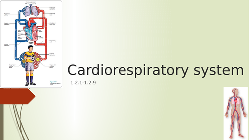 Cardiorespiratory system 1.2.1-1.2.9 | Teaching Resources