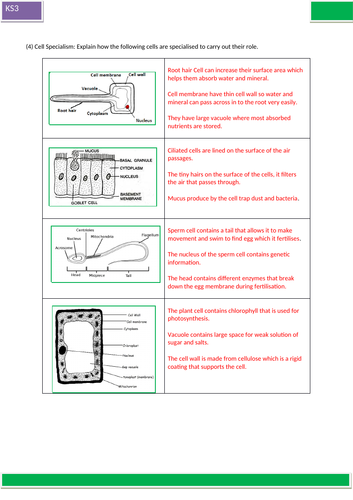 KS3 - Science Worksheets for Cell, Cell Specialism and Movement of ...