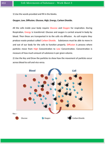 KS3 - Science Worksheets for Cell, Cell Specialism and Movement of ...