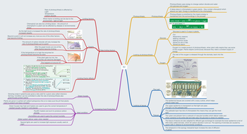 AQA 9-1 Biology B2 Revision MindMap | Teaching Resources