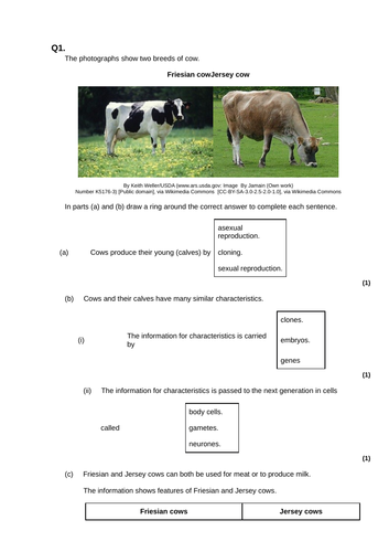 New GCSE AQA Combined Trilogy Biology 4.6 Inheritance, Variation and Evolution | Teaching Resources