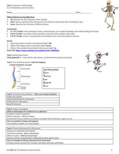 Igcse Pe Spec 2018 1 1 The Skeleton And Its Function Teaching