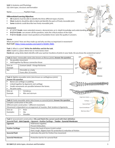 IGCSE PE (spec 2018) 1.2. Joint types, structure & formation | Teaching ...
