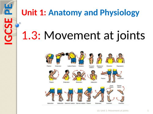 IGCSE PE (spec 2018) 1.3. Movement at the joints | Teaching Resources