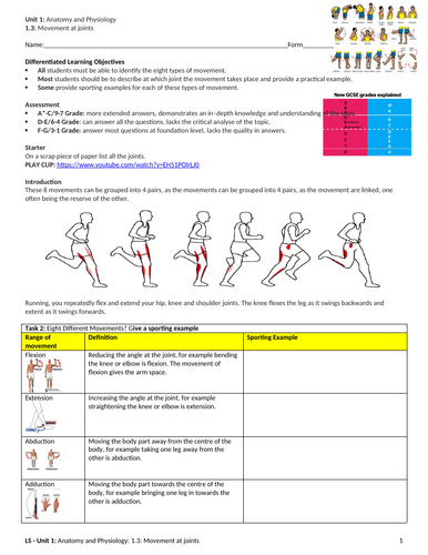 IGCSE PE (spec 2018) Skeletal System Bundle 1.1/2/3 | Teaching Resources
