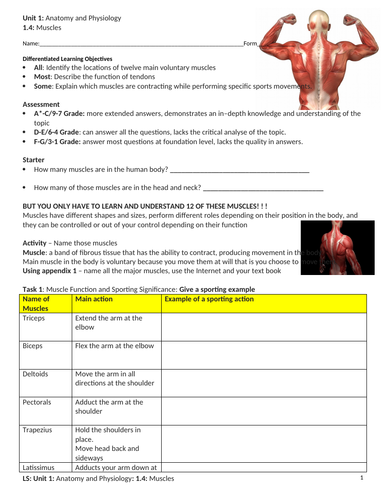 IGCSE PE (spec 2018) 1.4. Muscles | Teaching Resources