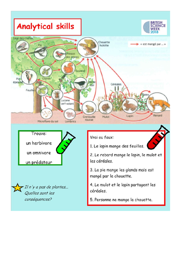 CROSS CURRICULAR FRENCH SCIENCE for year 7, 8 and 9. Whole lesson for ...