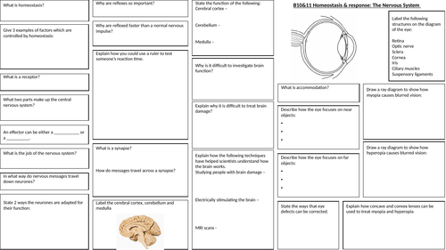 Nervous system revision - complete lesson (GCSE 1-9) | Teaching Resources