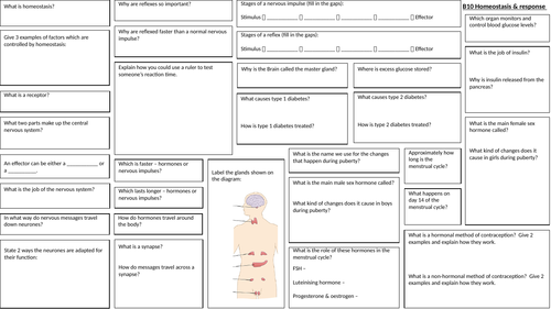 Nervous system revision - complete lesson (GCSE 1-9) | Teaching Resources