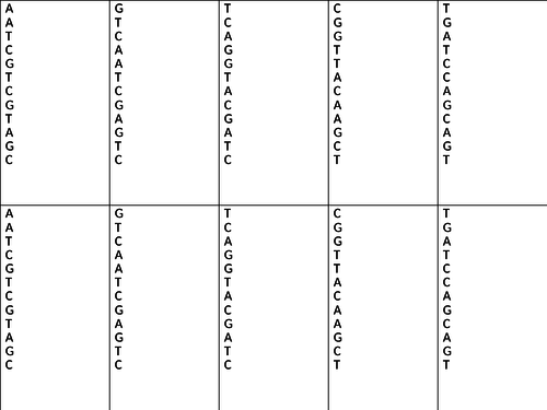 Cb3b Dna Edexcel Combined Science Teaching Resources