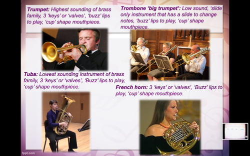 Instruments of the orchestra (22 slides including information, images ...