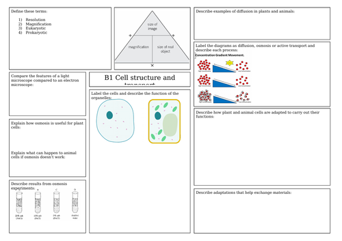 AQA Cell structure and transport revision mat | Teaching Resources