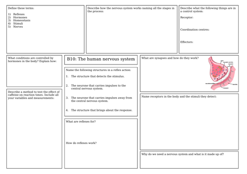 AQA Nervous system revision mat | Teaching Resources
