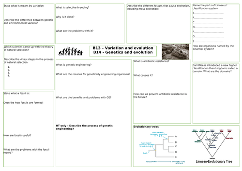 AQA Variation, evolution and genetics revision mat | Teaching Resources