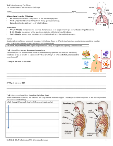 IGCSE PE (spec 2018) Respiratory System Bundle 2.1/2/3 | Teaching Resources