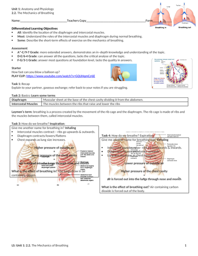 IGCSE PE (spec 2018) 2.2. The Mechanics of Breathing | Teaching Resources