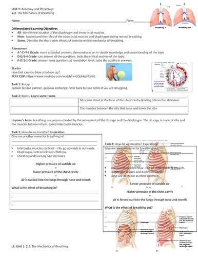 IGCSE PE (spec 2018) 2.2. The Mechanics of Breathing | Teaching Resources