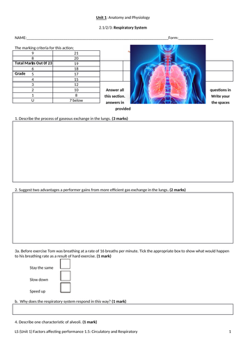 IGCSE PE (spec 2018) Respiratory System Bundle 2.1/2/3 | Teaching Resources