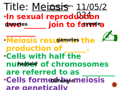 Meiosis - Complete lesson (AS/A2) | Teaching Resources