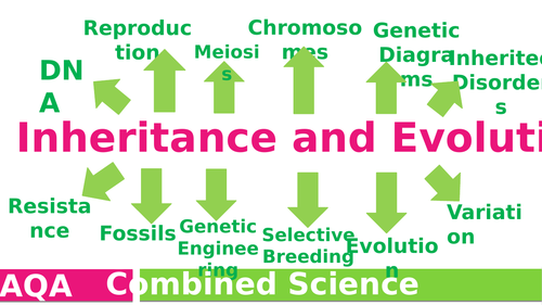 Aqa B6 Inheritance Variation And Evolution Revision Teaching Resources