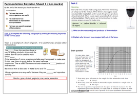 Fermentation Lesson | Teaching Resources