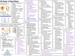NEW AQA Biology Paper 1 Cheat Sheet | Teaching Resources