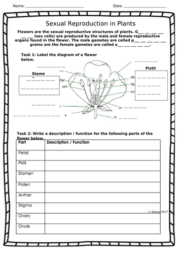 Flower structure and function | Teaching Resources