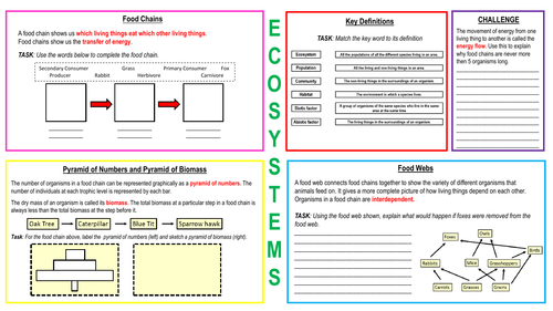 Ecosystems Learning Mat KS3 Biology | Teaching Resources