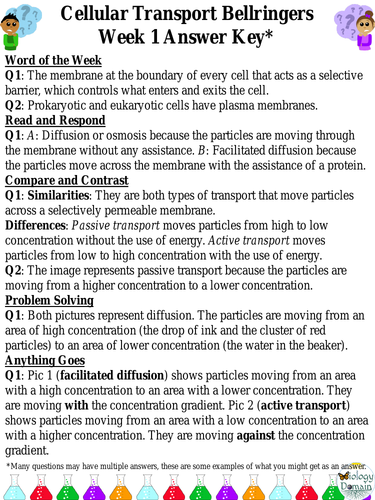 Two weeks of Cellular Transport Bellringers Warm Ups with Answer Key ...
