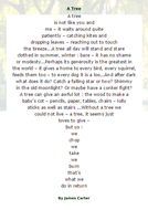 Year 2 Shape Poems Planning and Resources | Teaching Resources