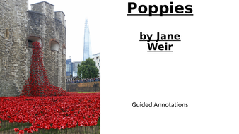 Poppies -Guided Annotations | Teaching Resources