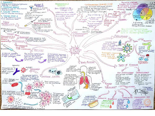 Sb5 Health And Disease Revision Mindmap Edexcel Biology Teaching Resources