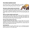 KS2 | Non-Chron Reports | Holes | Ancient Maya | Teaching Resources