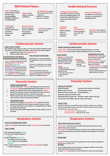 GCSE PE Edexcel (9-1) Revision Flashcards | Teaching Resources