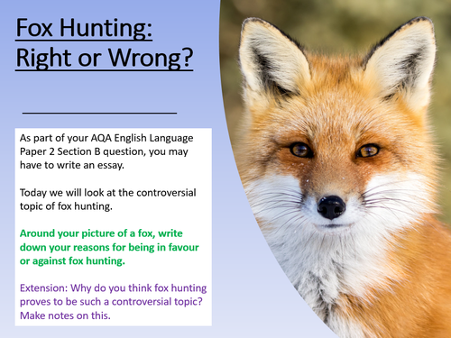 Fox Hunting - Essay Writing | Teaching Resources