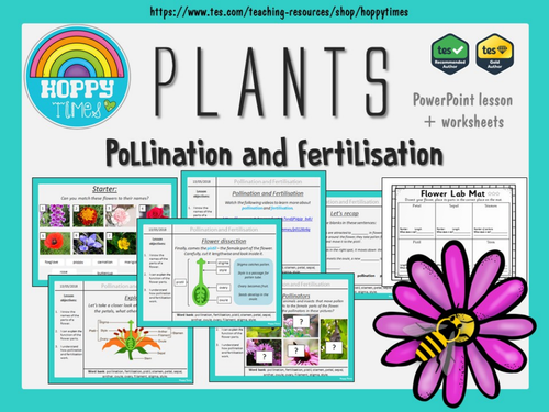 Parts of a Flower. Pollination and Fertilisation Lesson | Teaching ...
