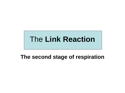 AQA A-Level Biology - Respiration (New Spec.) | Teaching Resources