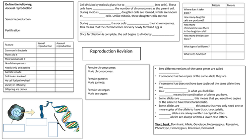 AQA Trilogy Reproduction Foundation Revision mat | Teaching Resources