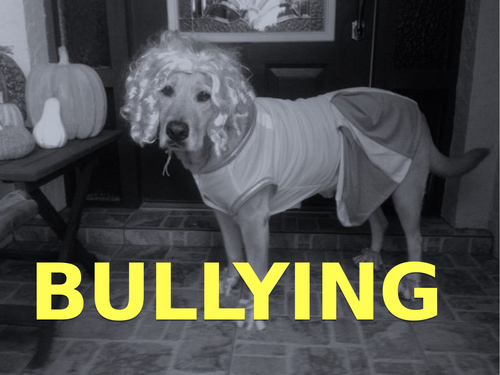 LESSON ON BULLYING FOR TEENS- KS3, Grades 6-8, PSHE, ENGLISH, RE ...