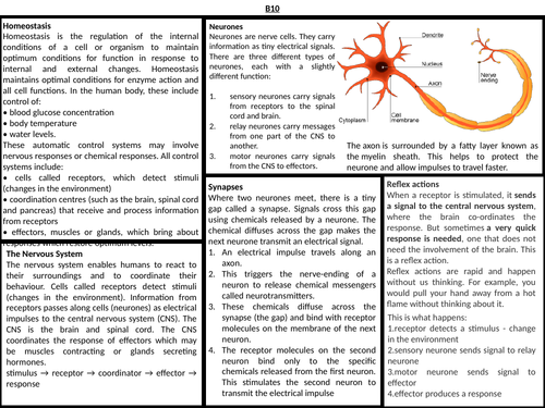 AQA 9-1 (2016) GCSE Biology Trilogy: B10 Knowledge Organiser | Teaching ... AQA 9-1 (2016) GCSE Biology Trilogy: B10 Knowledge Organiser | Teaching ...
