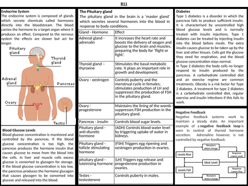 AQA 9-1 (2016) GCSE Biology Trilogy: B11 Knowledge Organiser | Teaching ...