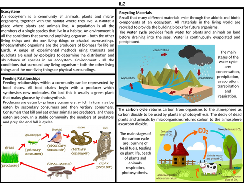 AQA 9-1 (2016) GCSE Biology Separate Science: B17 Knowledge Organiser ...