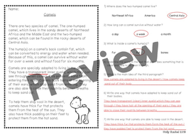 Desert Animals Reading Comprehension | Teaching Resources