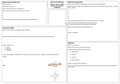 AQA A level Biology Topic 4 Part 1 revision: DNA, Protein Synthesis and ...