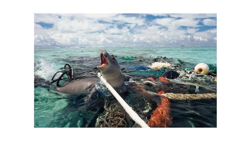 Plastics in the Ocean - Geography in the News - Interview Lesson ...