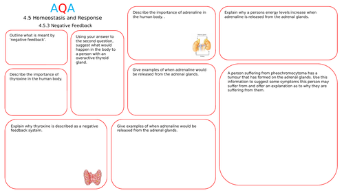 AQA GCSE Combined Science Biology Revision Mat Bundle Paper 2 ...